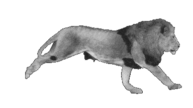 New York Phone Numbers – Local Number with NY Area Code – MightyCall